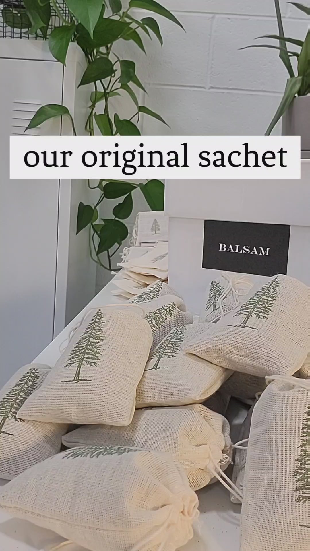 Evergreen Pine Balsam Fir Sachet - 3 Pack for Closet, garment bag or D ...