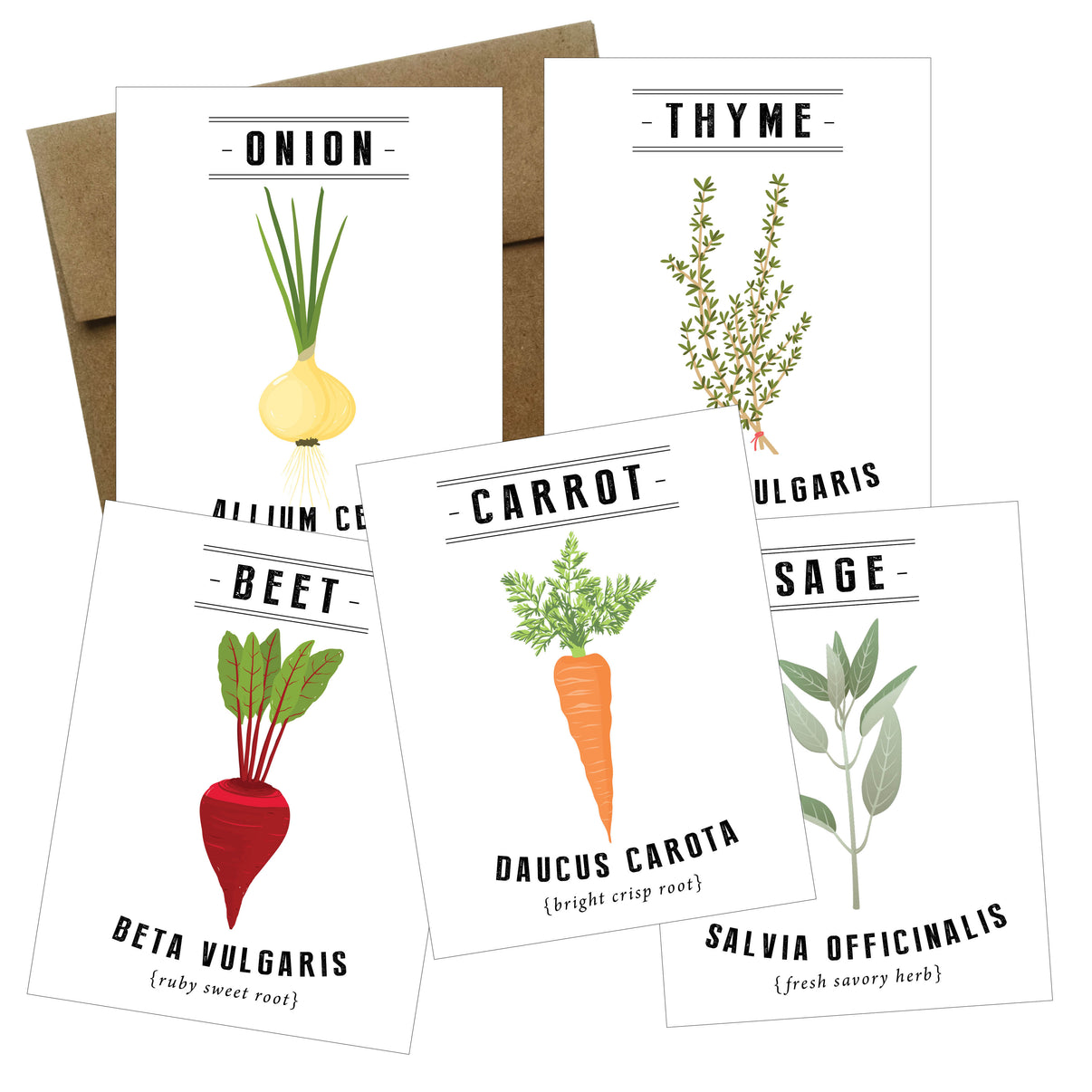 Botanical Veggie and Herb Cards - 5 pack – Idea Chíc